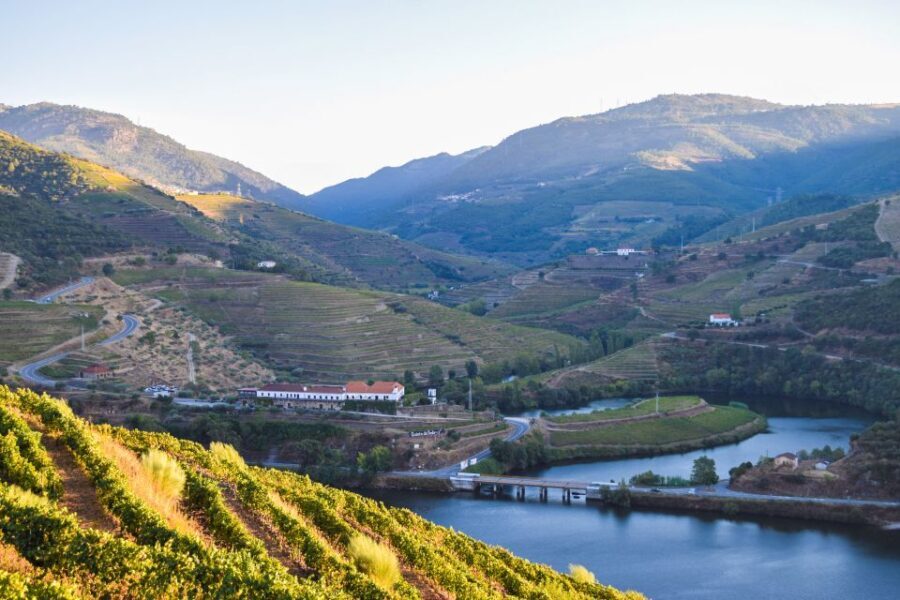Douro Valley: Quinta do Tedo Wine Experience with Picnic