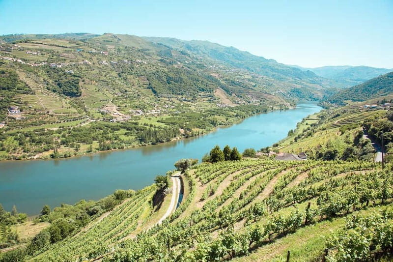 Douro Valley: Real Small-Group, Wine Tasting, Lunch & Boat