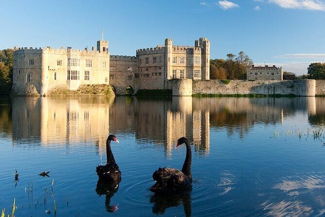 Dover Cruise Ship to Leeds Castle via Canterbury, Villages & back - Transportation and Group Dynamics