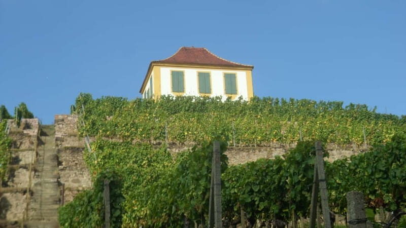 Dresden: Boat Cruise with Wine Tasting and Snacks