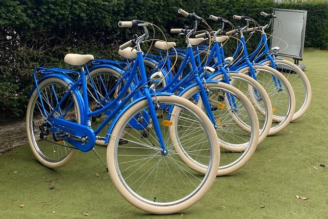 Dublin Full Day Bike Rental - What to Expect from Your Bike Rental Experience