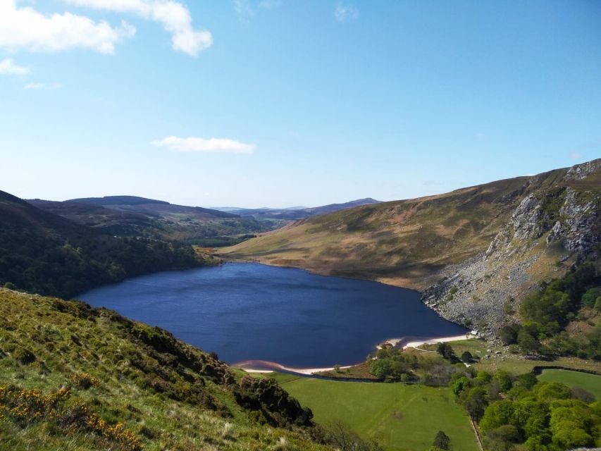 Dublin: Full-Day Wicklow Mountains Tour w/ Glendalough Visit