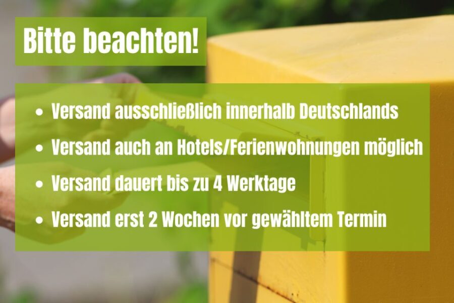 Duisburg: Scavenger Hunt Self-Guided Tour
