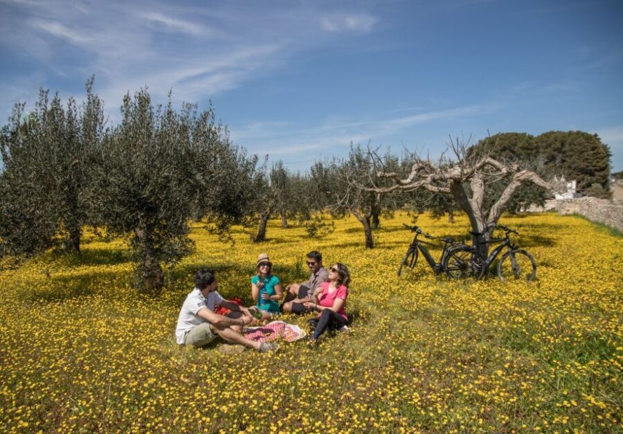e-bike ring tour between Locorotondo and Martina Franca