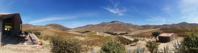 e-Bike Through Douro Valley Wine Region for Half Day Tour