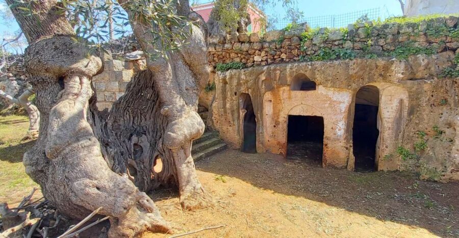 E-bike tour from Monopoli to the rocky village of St. Andrew