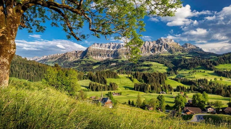 Emmentaler Journey from Zurich:Tour & Cheese Making Workshop