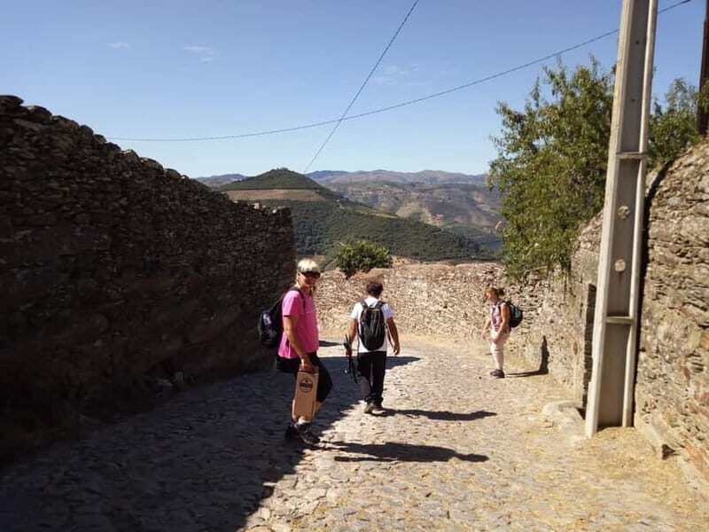 Ervedosa do Douro: Guided Walking Tour with Picnic Lunch