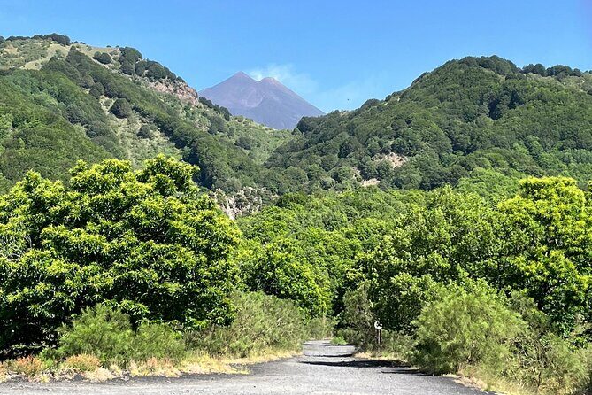 ETNA and TAORMINA departing from PALERMO, Private Tour - Authenticity and Value for Money