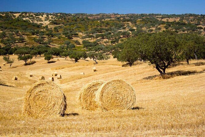 EVORA & MONSARAZ FULL-DAY PRIVATE TOUR with winery, cork & gourmet tavern