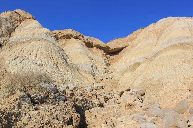 Excursion by car with official guide in Bardenas Reales