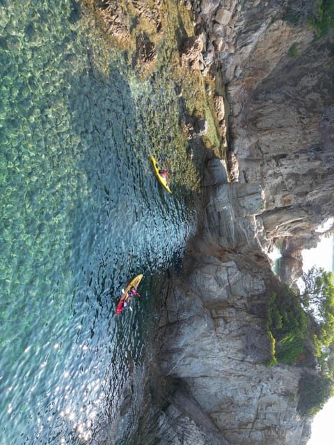 EXCURSION GUIADA EN KAYAK - INICIACIÓN 1h 15m