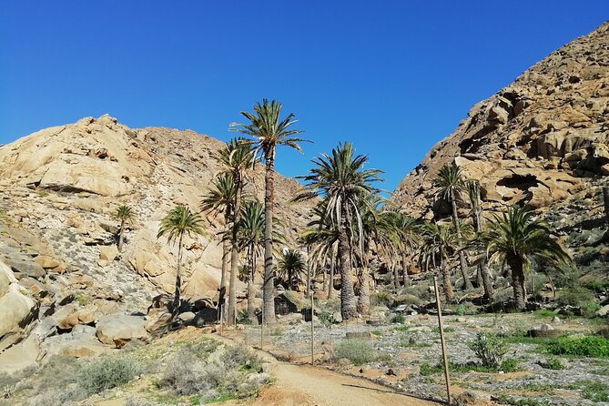 Excursion to Ajuy Caves with a secret Las Penitas canyon Hike - An In-Depth Look at the Tour Experience