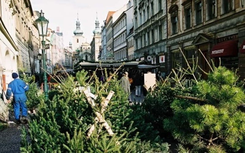 Experience Christmas Shopping In Prague
