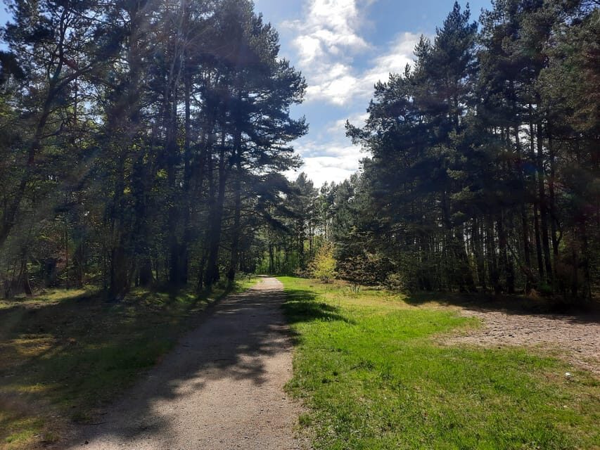 Explore Sobieszewo Island: Nature Walk & Wildlife Tour