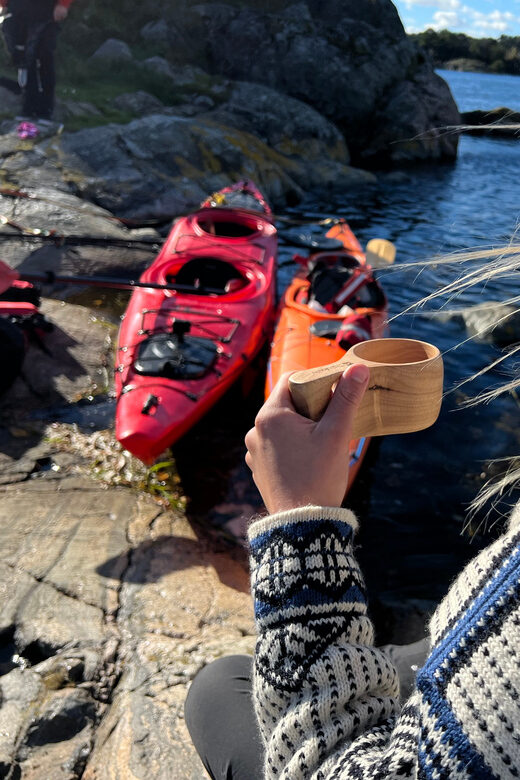 Færvik: Raet National Park Sea Kayaking Trip