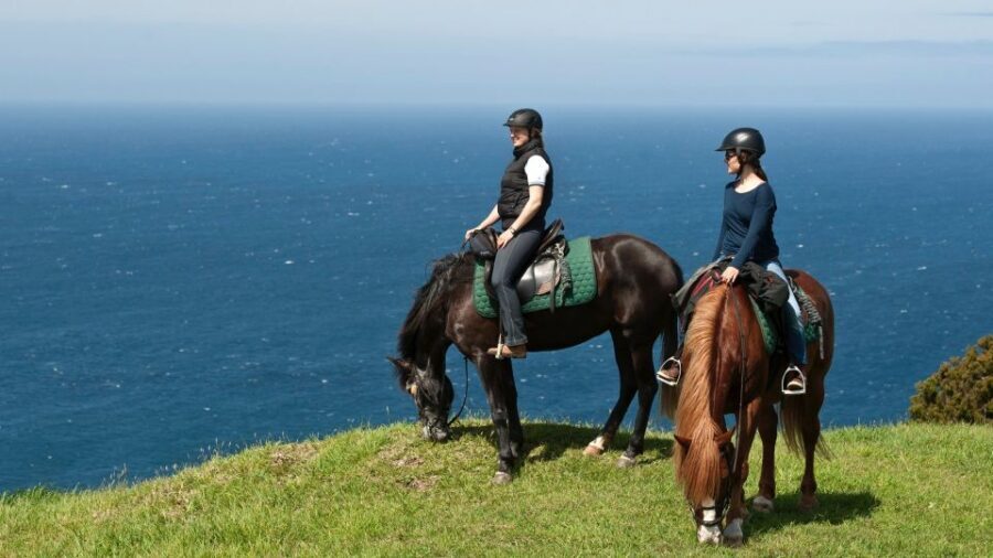 Faial Island: Horseback Riding (3 hrs - Experienced Riders) - What to Expect: A detailed look at the horseback ride