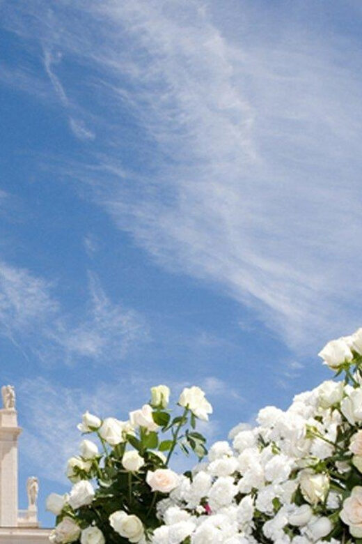Fátima Holy City Full Day Tour