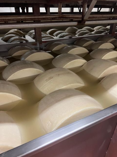 Ferrari Museum, Parmesan Cheese, Balsamic Vinegar Food Tour - First Stop: Parmigiano Reggiano Cheese Farm