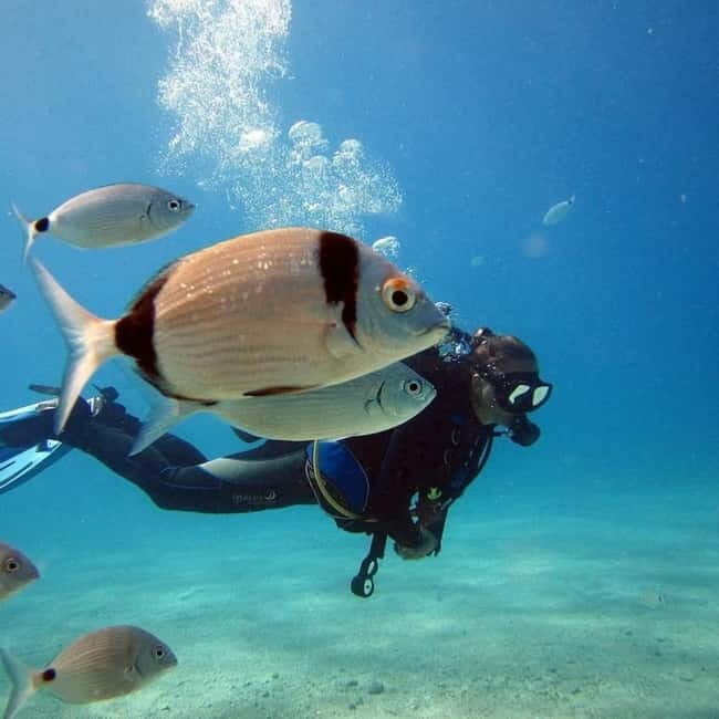 Fethiye Scuba Diving Tour: Free Shuttle Service - Lunch Included