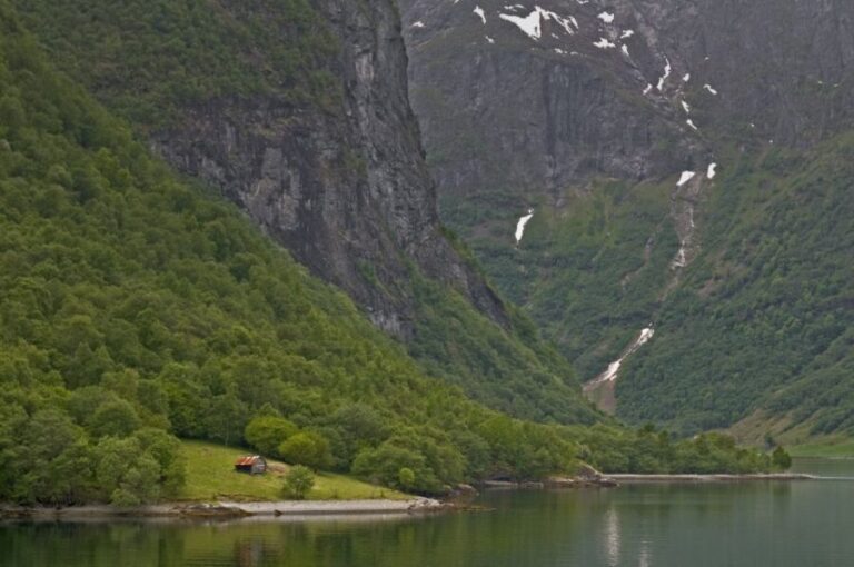 Fjords: Private Trip with Train and Cruise Ride - An In-Depth Look at the Fjords: Private Trip with Train and Cruise Ride