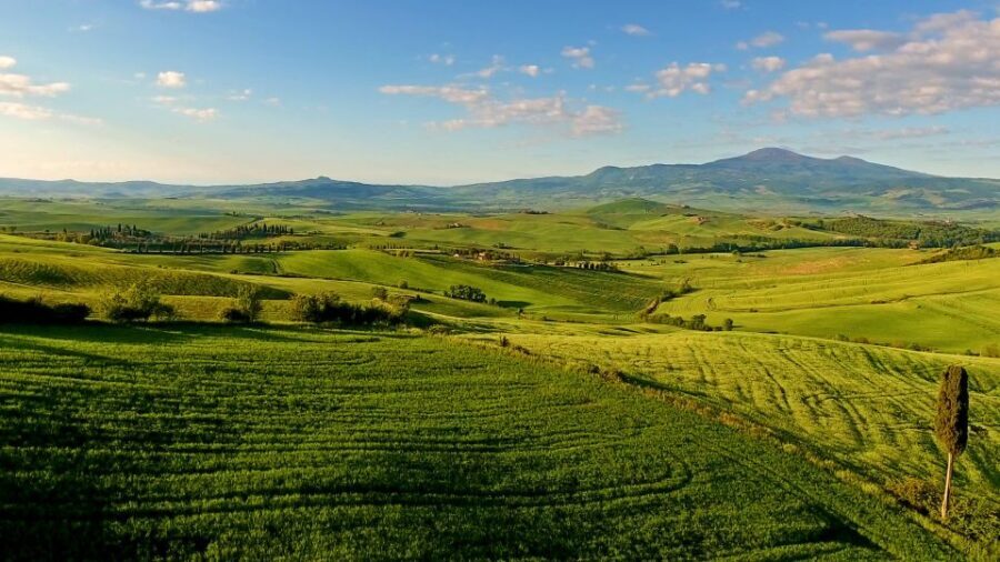 Florence: Chianti, Montalcino & Montepulciano Private Tour