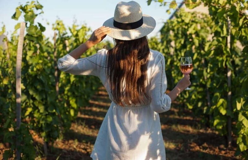 Florence: Chianti Vineyards Tour with Wine Tasting & Dinner