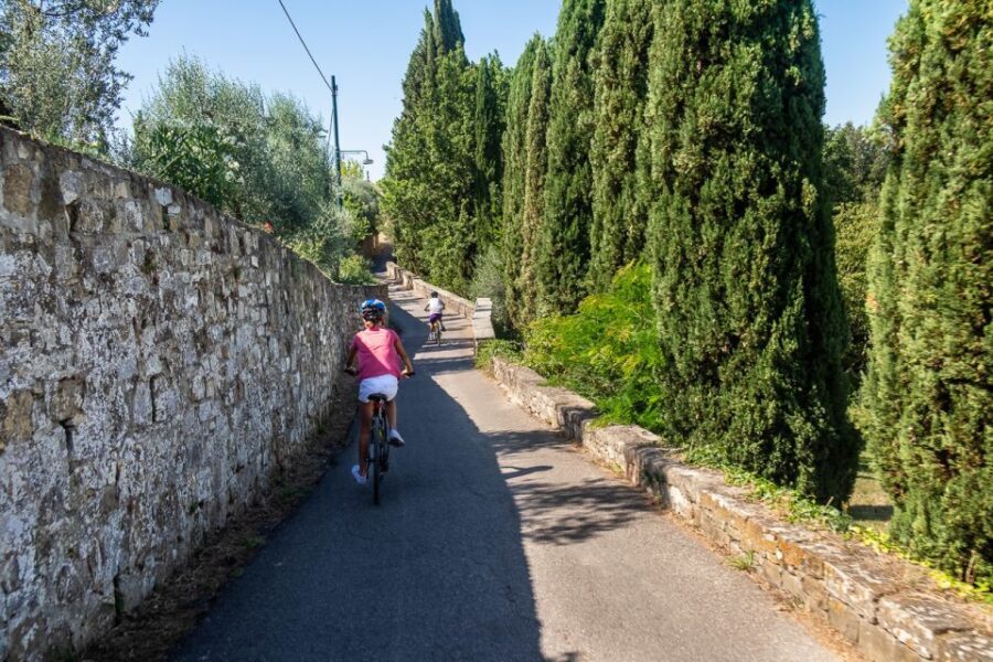 Florence: Half-Day Tuscan Countryside Bike Tour and Tastings