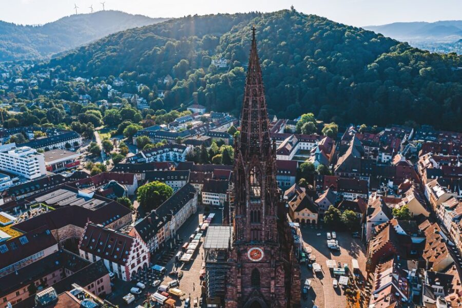 Freiburg: Veni, vidi, vino - wine hike and tasting