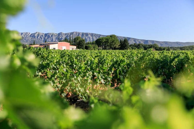 From Aix en Provence: Half-day Wine Tour in Provence - Exploring the Itinerary