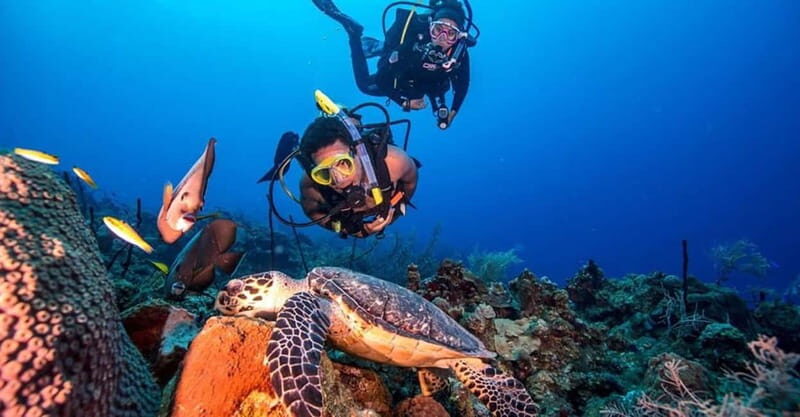 From Alanya: Scuba Diving Tour with Hotel Transfers