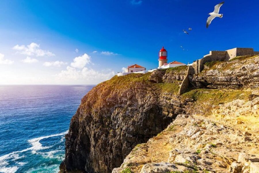 From Albufeira: Half-Day Lagos & Sagres Highlights Tour - Sagres and Cape São Vicente: The End of the World