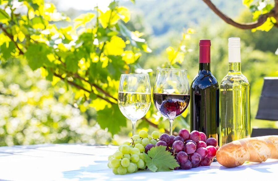 From Alicante & Elche: Family owned rural Winery (tasting)