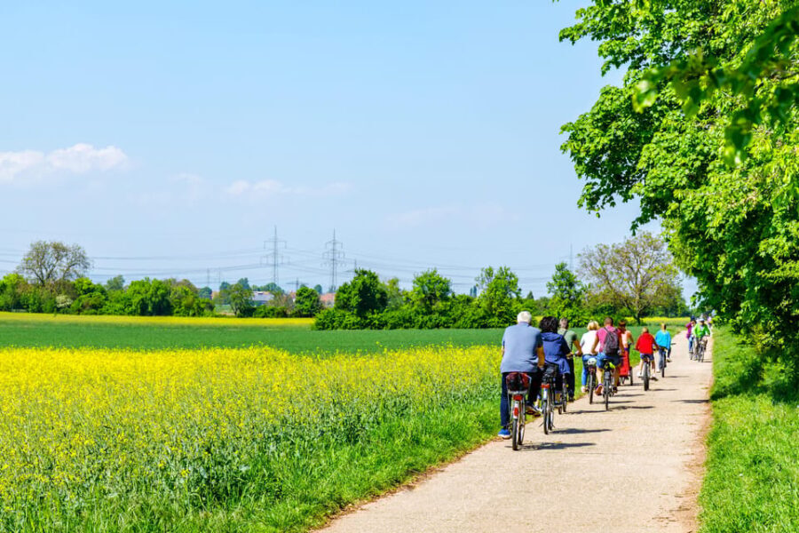 From Amsterdam: Countryside Bike Tour with Cheese Tasting