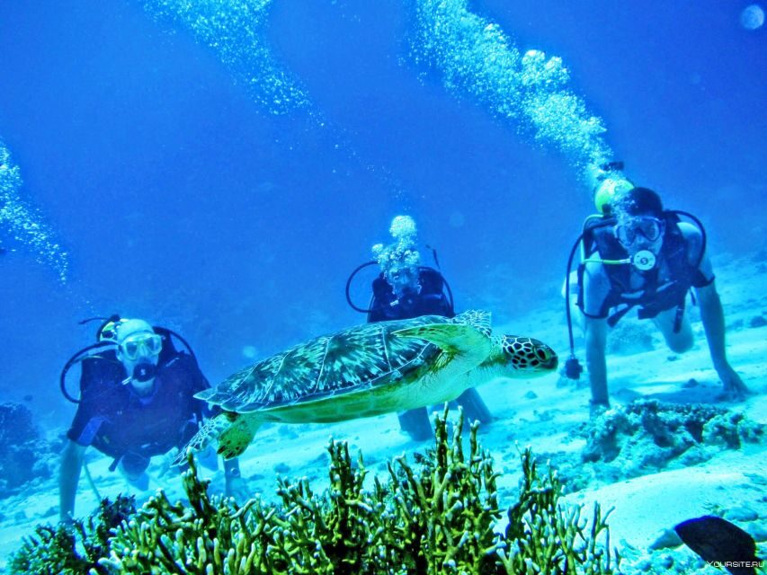 From Antalya| Kemer: Diving Tour with Experienced Instructor