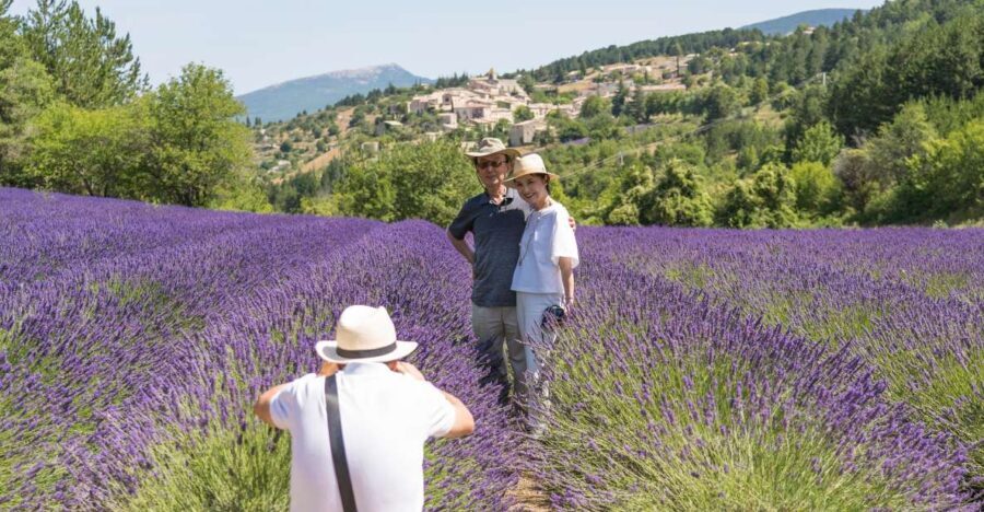 From Avignon: Half-Day Lavender Tour of Luberon