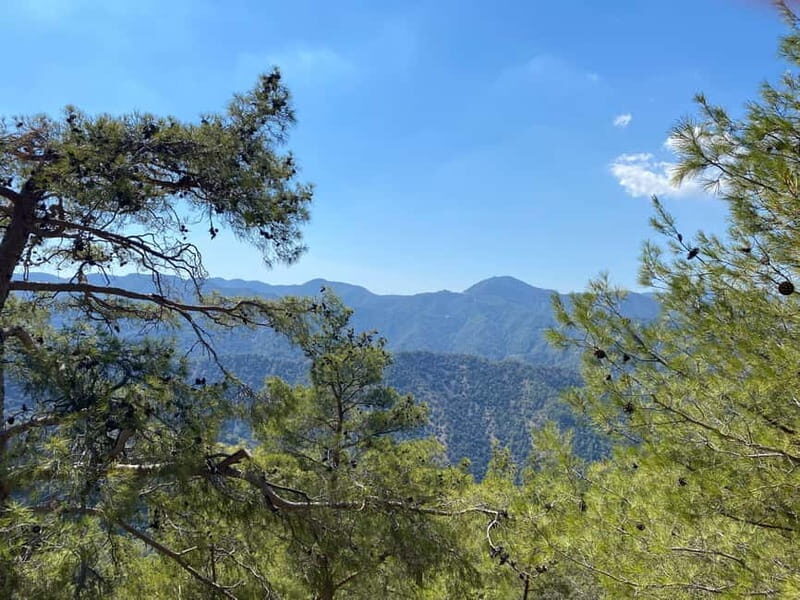 From Ayia Napa, Limassol: Troodos Mountains Private Day Trip