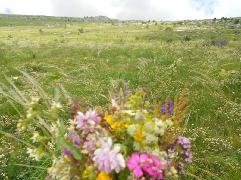 From Belgrade: Rtanj Mountain Hike Day Trip with Guide