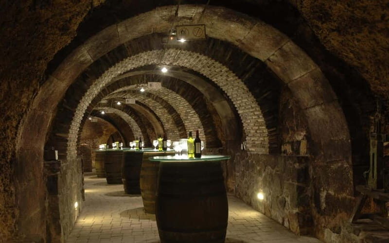 From Bilbao: La Rioja Wineries Day Trip with Wine Tastings