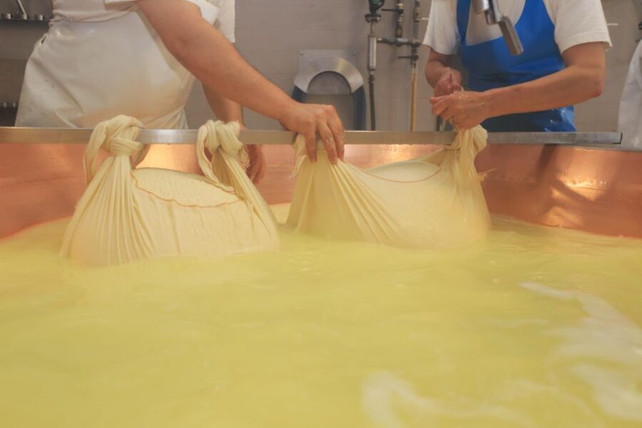 From Bologna or Modena: Parma Gastronomic Tour with Lunch