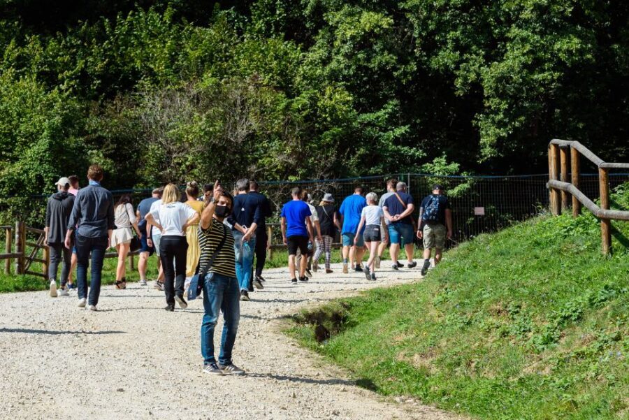 From Bucharest: Bear Sanctuary and Dracula Castle Day Tour