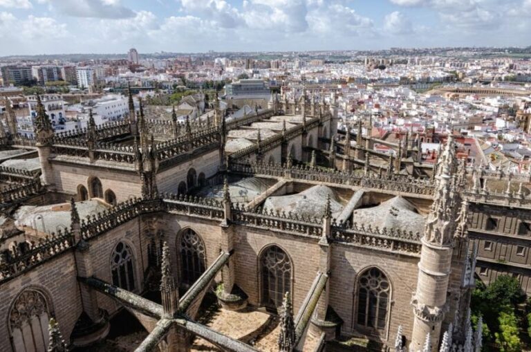 From Cadiz: Private Seville Day Trip, Cathedral & Alcazar - Authentic Experiences and Expert Guidance