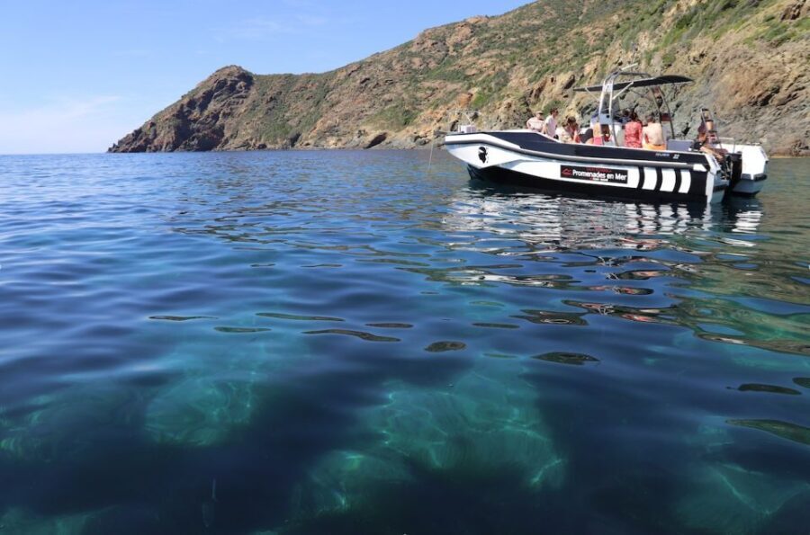 From Calvi: 2-Hour Sunset Cruise to Revellata Peninsula