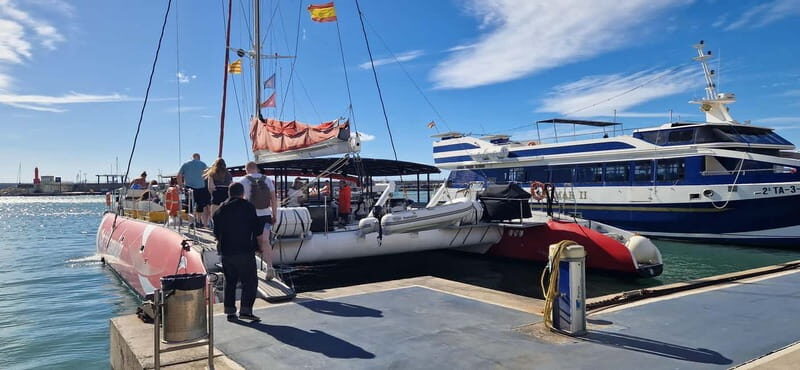 From Cambrils: catamaran 2h with drinks/bed balinese, swim.