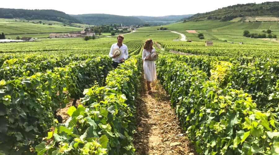 From: Dijon/Beaune: Burgundy Region Winery Tour with Lunch