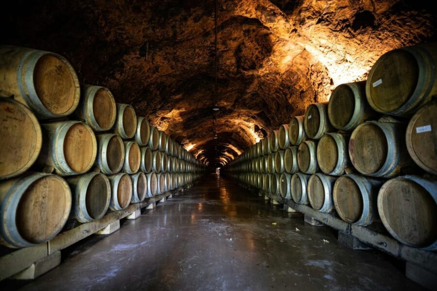 From Dijon: Burgundy Villages and Wine Tasting Tour