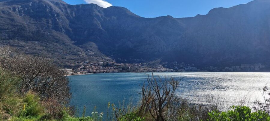 From Dubrovnik: Montenegro Full-Day Tour
