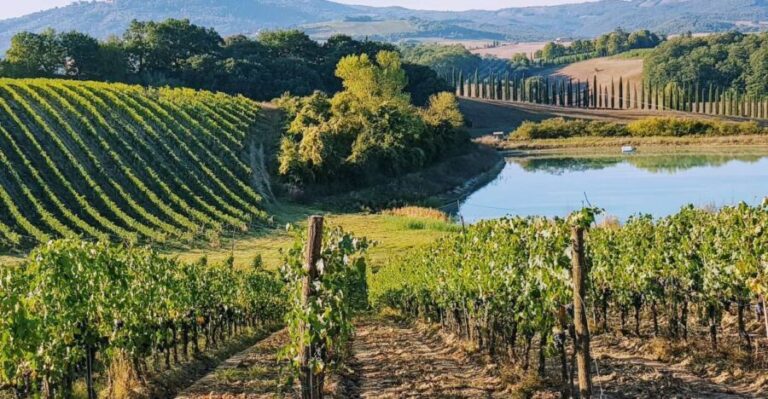 From Florence: Chianti Wine Tastings at Sunset Day Trip - The Significance of the Scenic Drive and Sunset