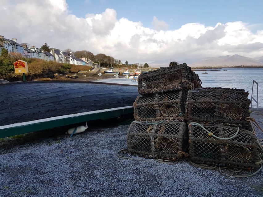 From Galway: Connemara and Kylemore Abbey Day Tour - An Overview of the Experience: Seeing Ireland’s Wild West in a Day