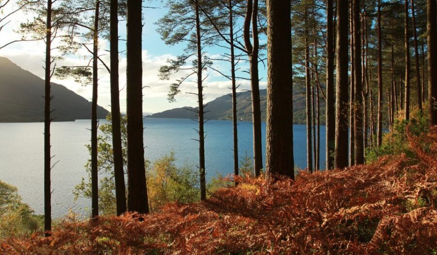 From Glasgow: Stirling Castle & Loch Lomond Tour with Cruise